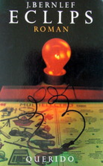 Boekverslag Nederlands Eclips door J. Bernlef | Scholieren.com