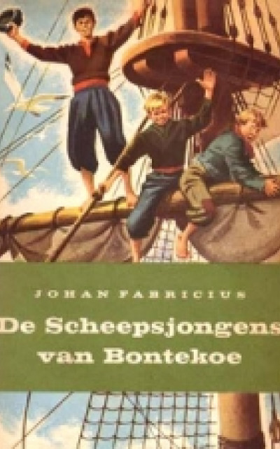 Boekverslag Nederlands De scheepsjongens van Bontekoe door Johan ...