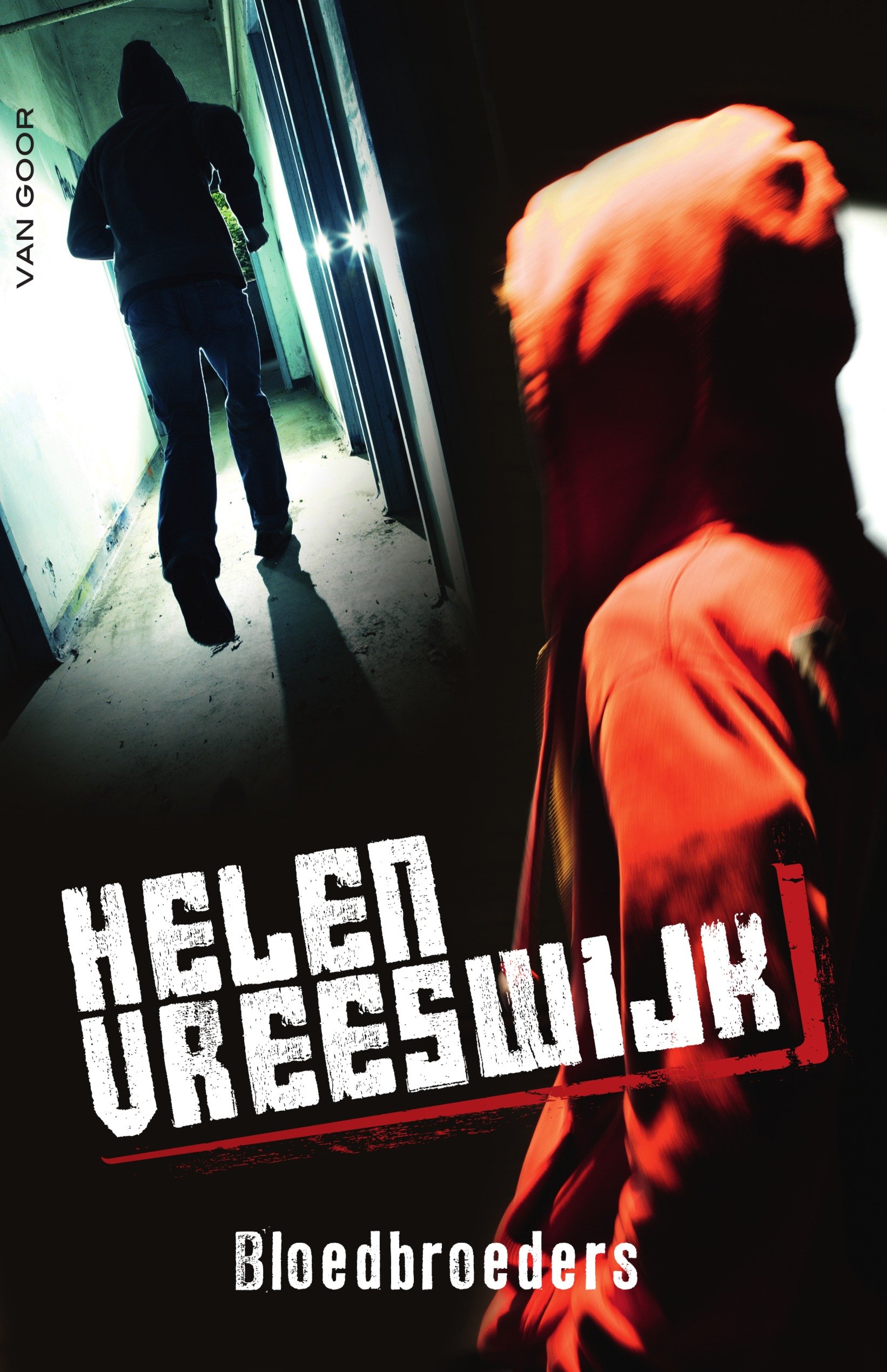 Boekverslag Nederlands Bloedbroeders door Helen Vreeswijk (3e klas vwo ...