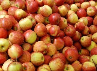 Voorpagina | Scholieren.com